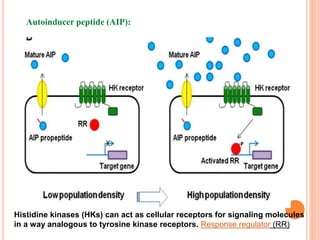 Quorum sensing and its significance | PPTX