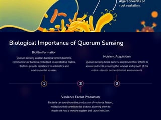 Quorum-Sensing-Bacterial-Communication (1) goup 2 tut 2 cell.pdf