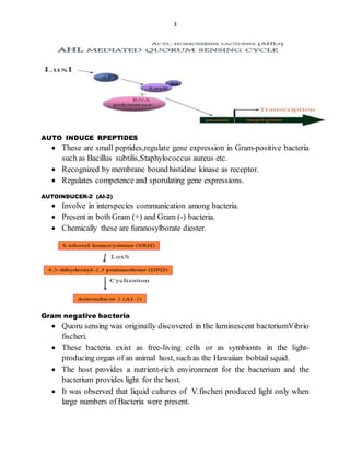 Quorum sensing | DOCX