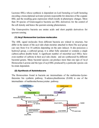 Bacteria Talk Sense | DOCX | Biological Sciences | Science