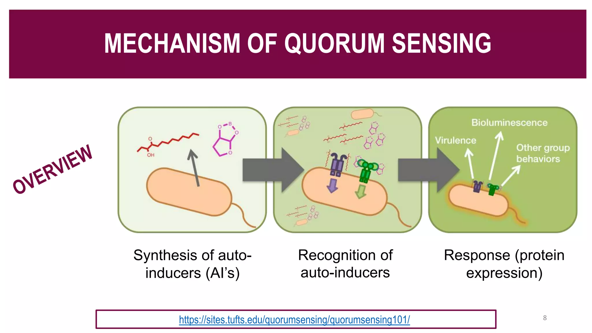 Quorum sensing in Archaea | PPTX | Biotech and Biomedical Industry ...