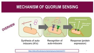Quorum sensing in Archaea | PPT