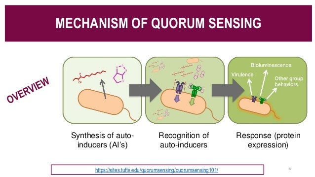 Quorum sensing in Archaea
