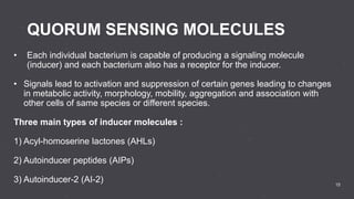 Quorum Sensing | PPTX