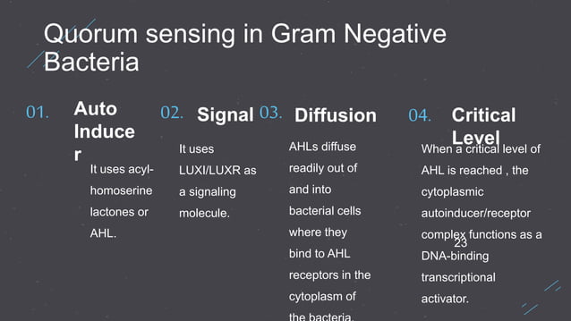 Quorum Sensing | PPTX