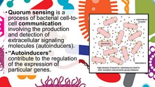 Quorum Sensing | PPTX