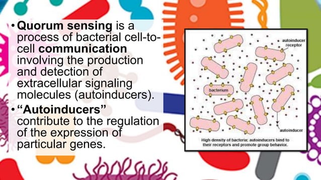 Quorum Sensing | PPTX