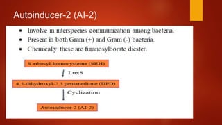 Quorum sensing | PPTX