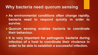 Quorum sensing | PPTX