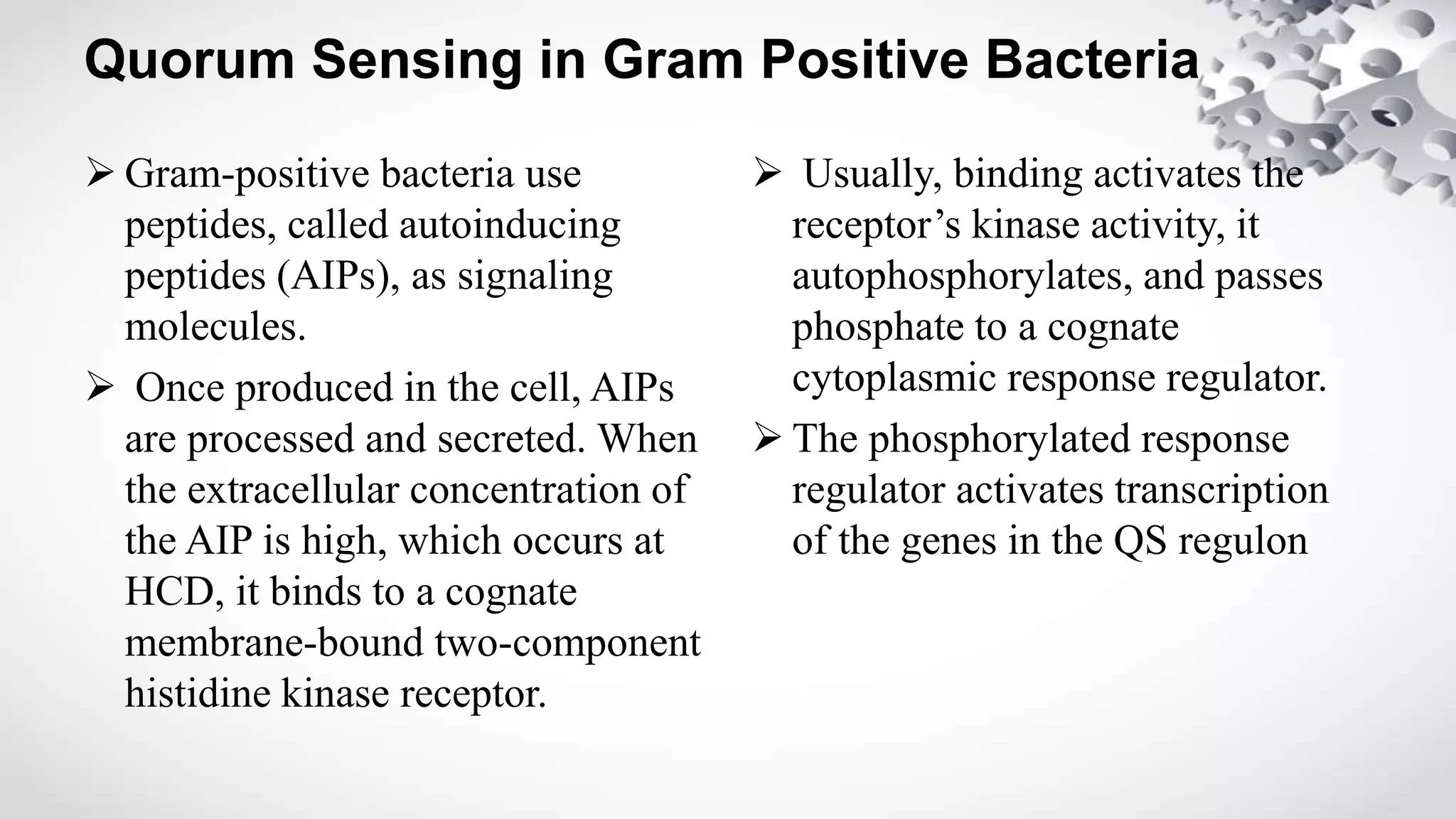 quorum sensing.pptx