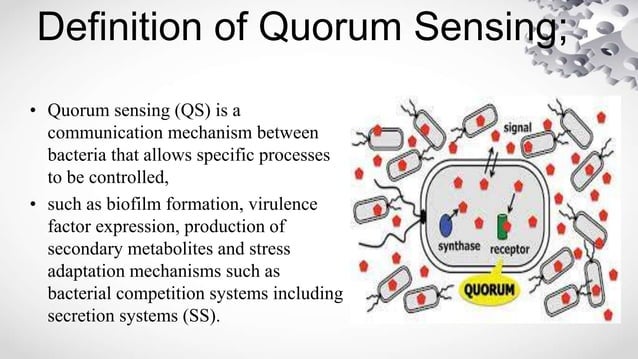 quorum sensing.pptx | Chemistry | Science