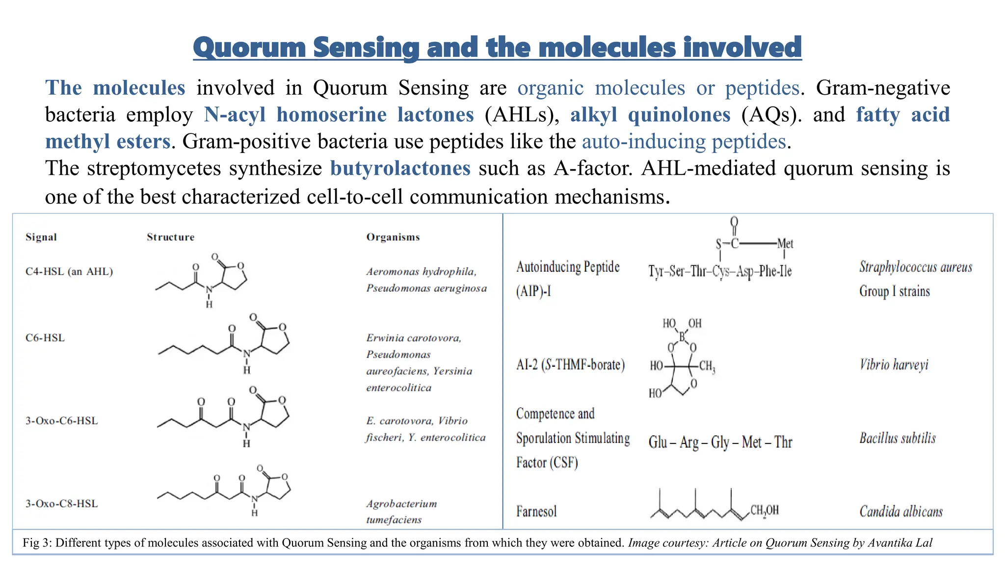 Quorum Sensing in microbial species (Bacterial Communication) | PDF