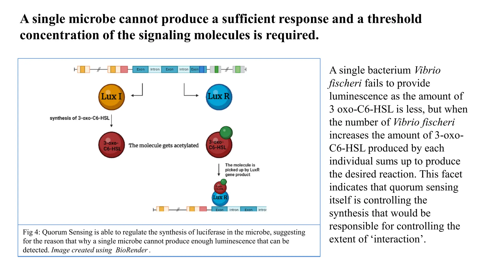 Quorum Sensing in microbial species (Bacterial Communication) | PDF