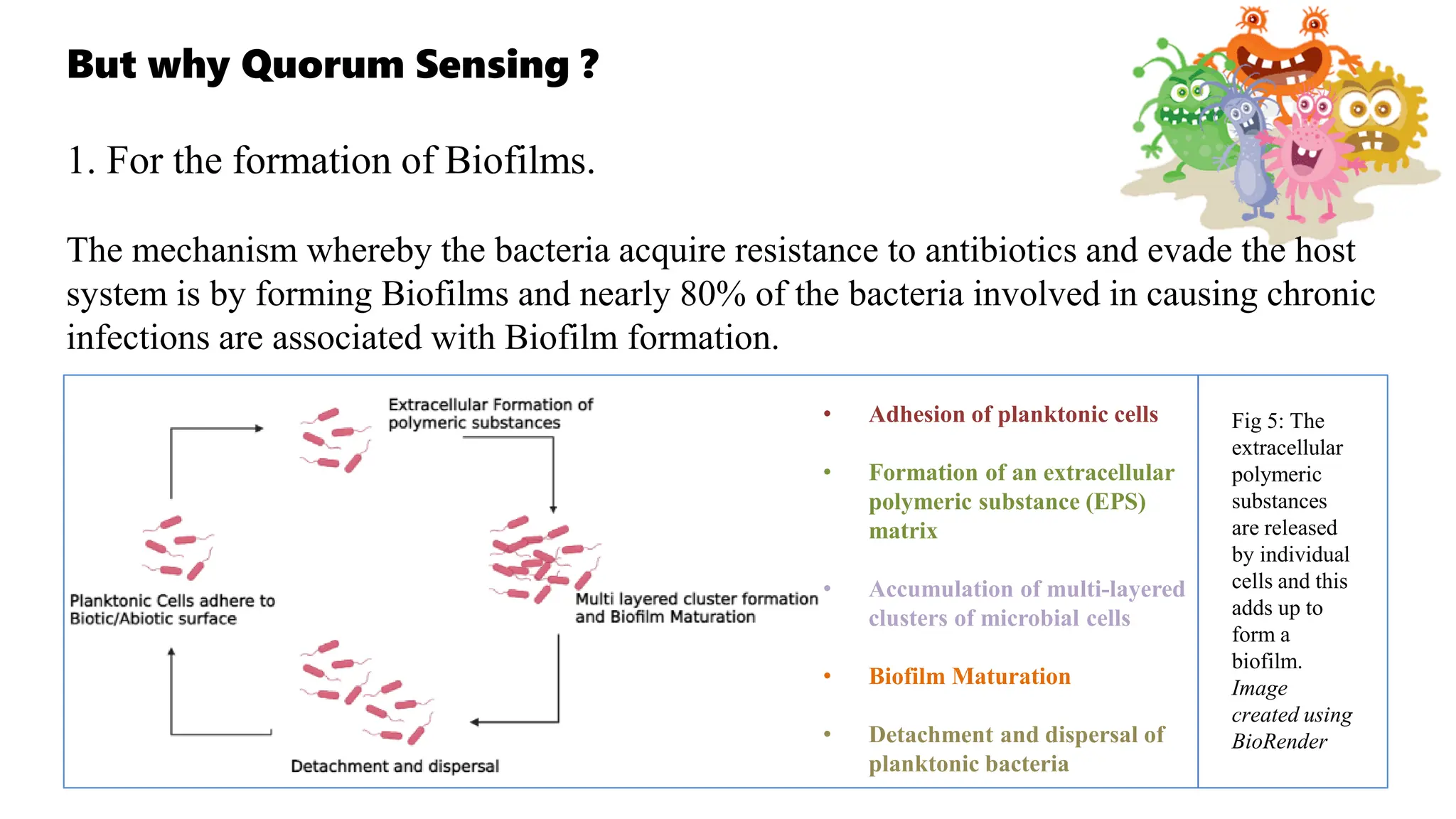 Quorum Sensing in microbial species (Bacterial Communication) | PDF