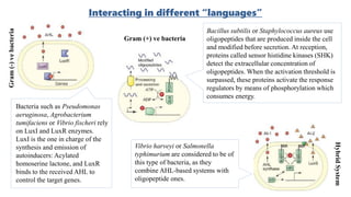 Quorum Sensing in microbial species (Bacterial Communication) | PDF