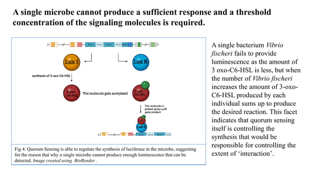 Quorum Sensing in microbial species (Bacterial Communication) | PDF