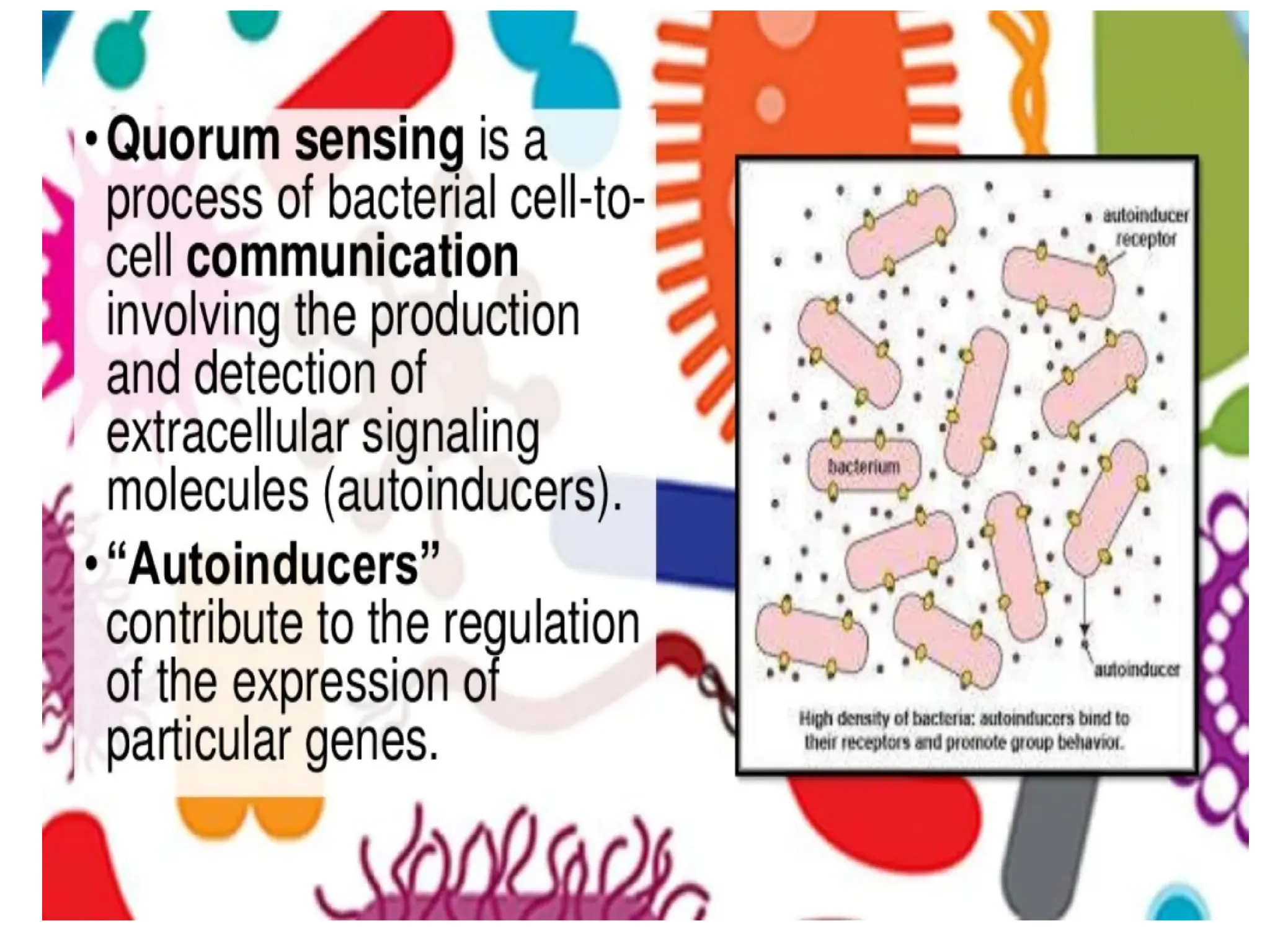 Quorum sensing PPT by Dr. Sadhana joshi | PPT