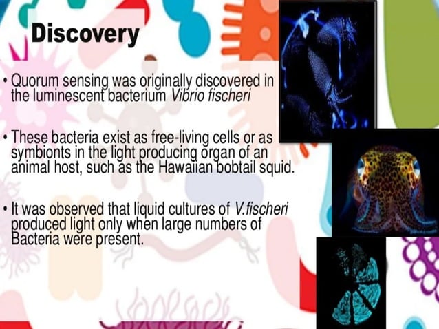 Quorum sensing PPT by Dr. Sadhana joshi | PPT
