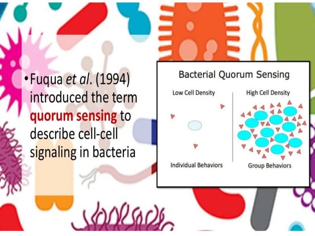 Quorum sensing PPT by Dr. Sadhana joshi | PPT