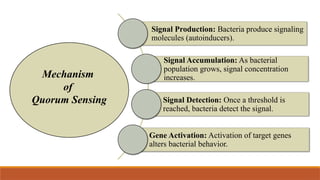 Quorum Sensing(Bacterial Communication) .pptx