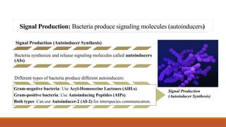 Quorum Sensing(Bacterial Communication) .pptx