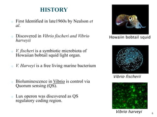 Molecular Basis of Quorum Sensing in virulence | PPTX