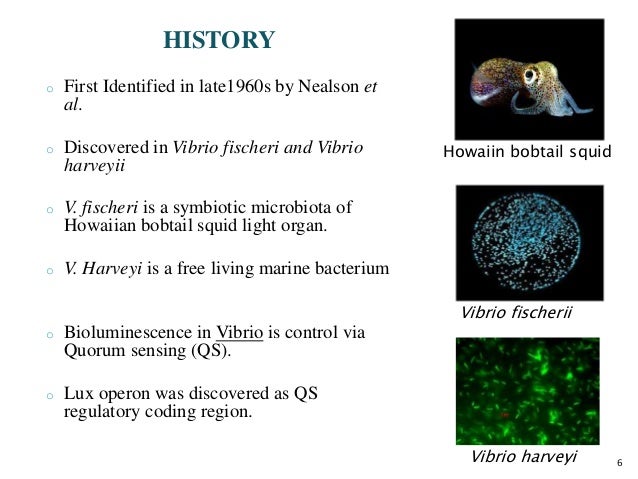 Quorum sensing 2016 Quorum sensing 2016