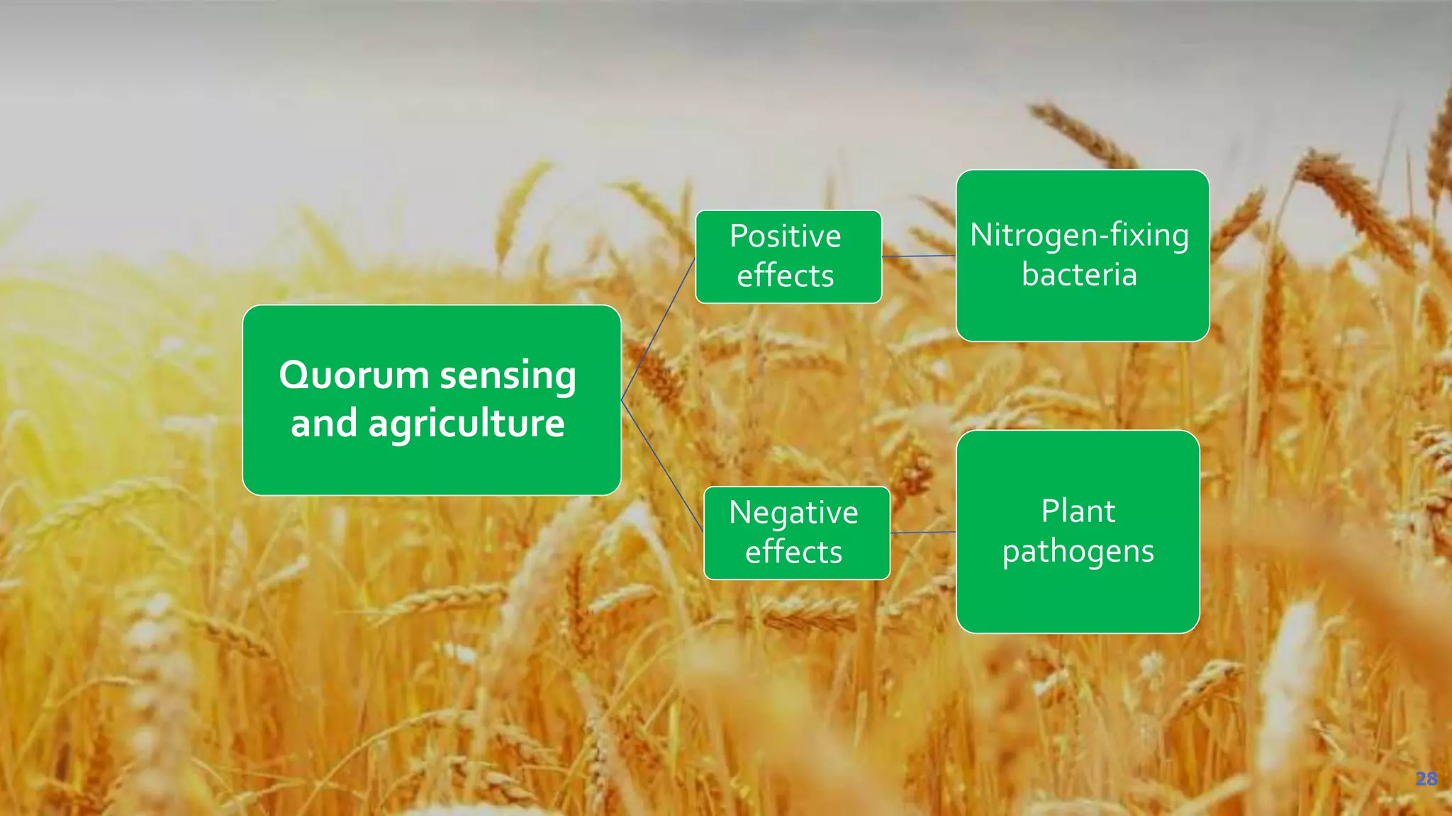 Quorum sensing and applications in biotechnology | PPTX