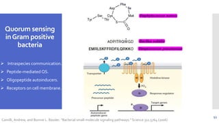 Quorum sensing and applications in biotechnology | PPTX