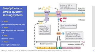 Quorum sensing and applications in biotechnology | PPTX