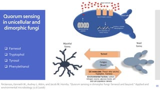 Quorum sensing and applications in biotechnology | PPTX
