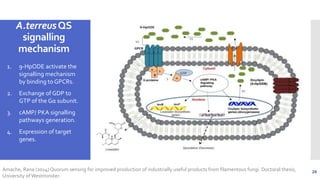 Quorum sensing and applications in biotechnology | PPTX