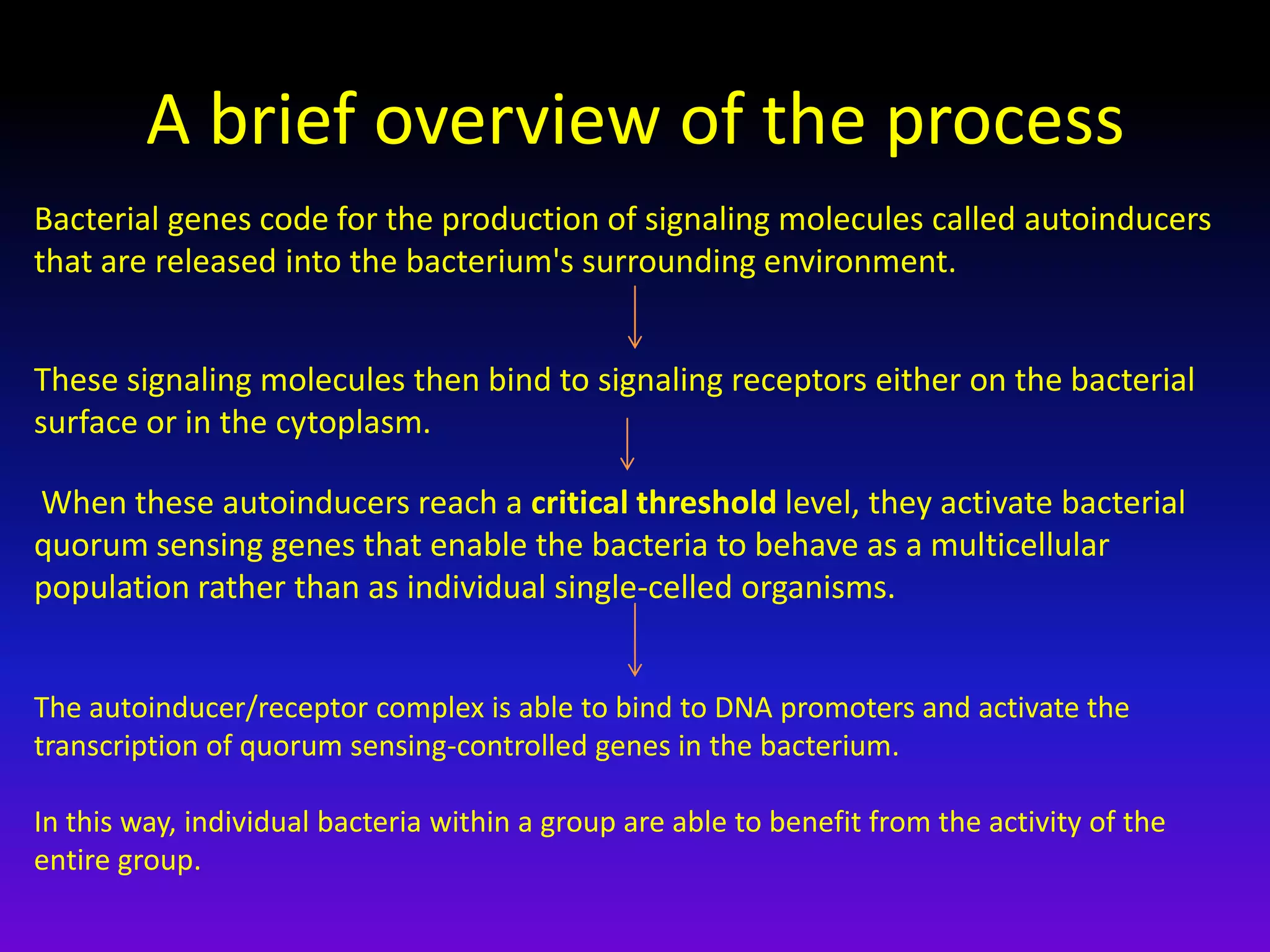 Quorum sensing group 6 | PPTX