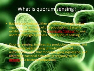 Quorum sensing group 6 | PPTX