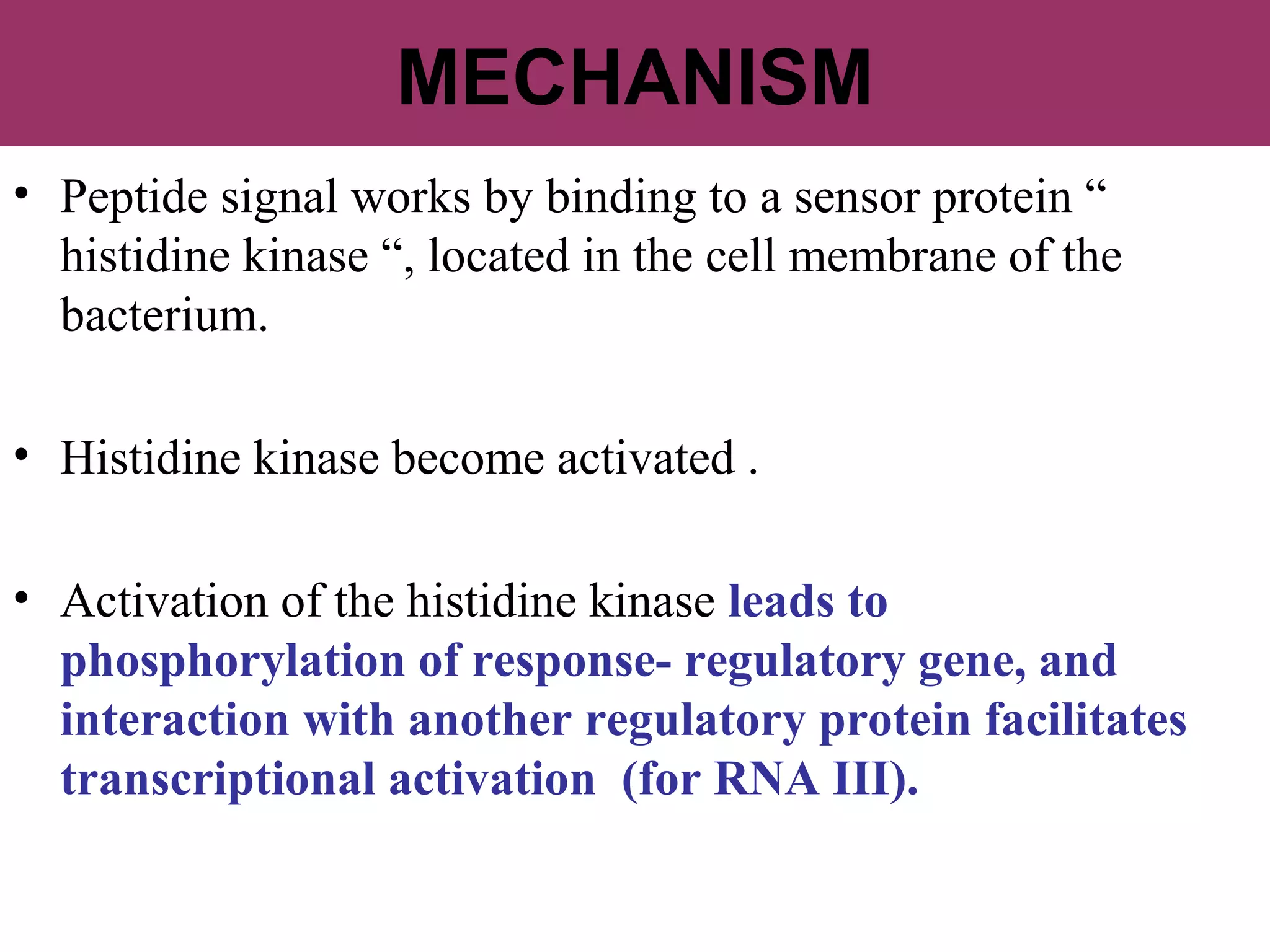Quorum sensing in bacteria | PPT