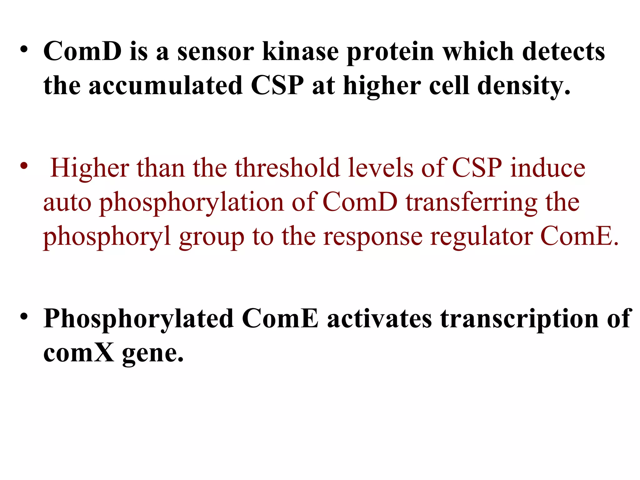 Quorum sensing in bacteria | PPT
