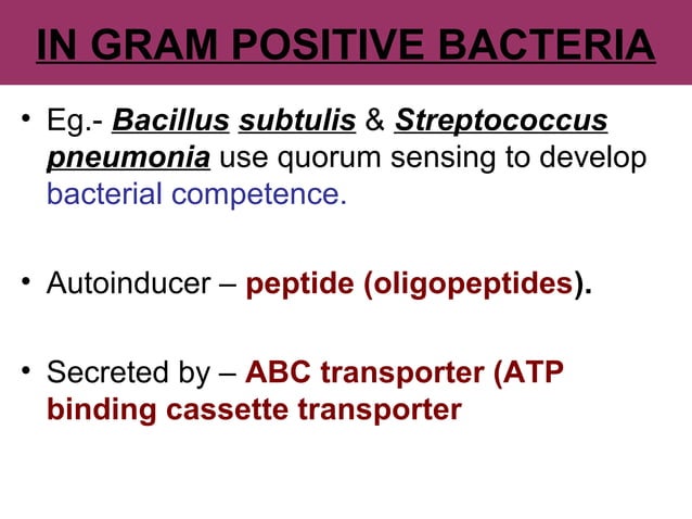 Quorum sensing in bacteria | PPT