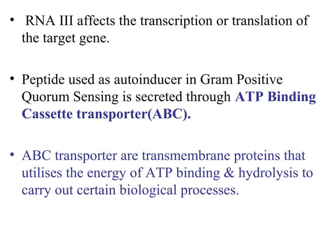 Quorum sensing in bacteria | PPT