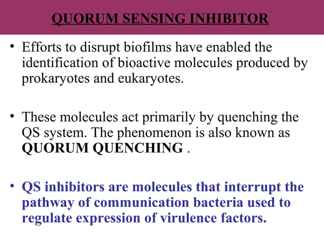 Quorum sensing in bacteria | PPT