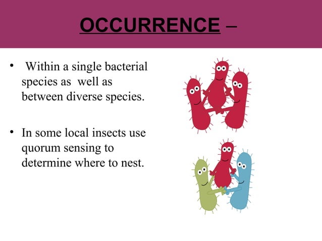 Quorum sensing in bacteria | PPT