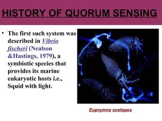 Quorum sensing in bacteria | PPT