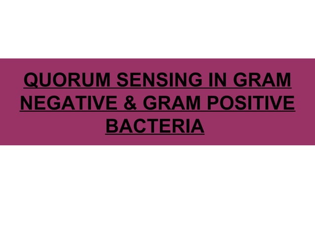 Quorum sensing in bacteria | PPT