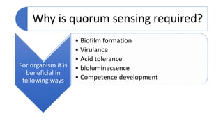 Quorum sensing in gram negative bacteria .pptx