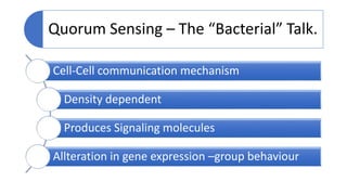 Quorum sensing in gram negative bacteria .pptx