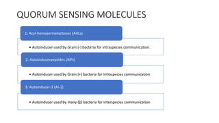 Quorum sensing in gram negative bacteria .pptx