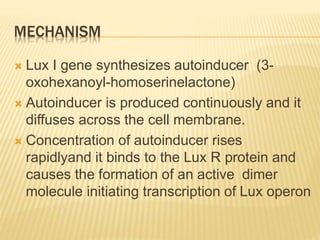 Quorum sensing in luminescent bacteria | PPTX