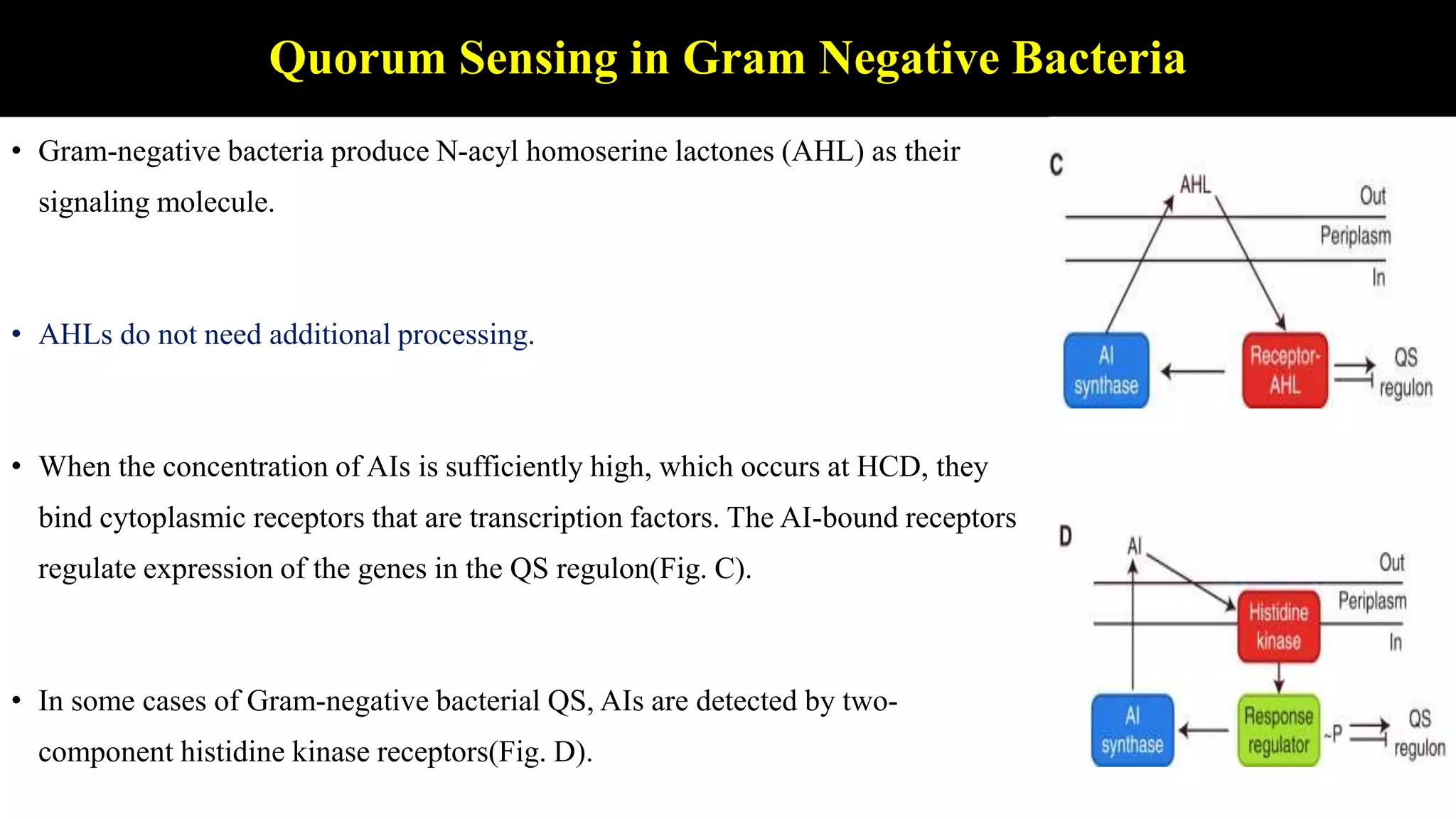 Quorum sensing in plant pathogenic bacteria. Maruthi.pptx