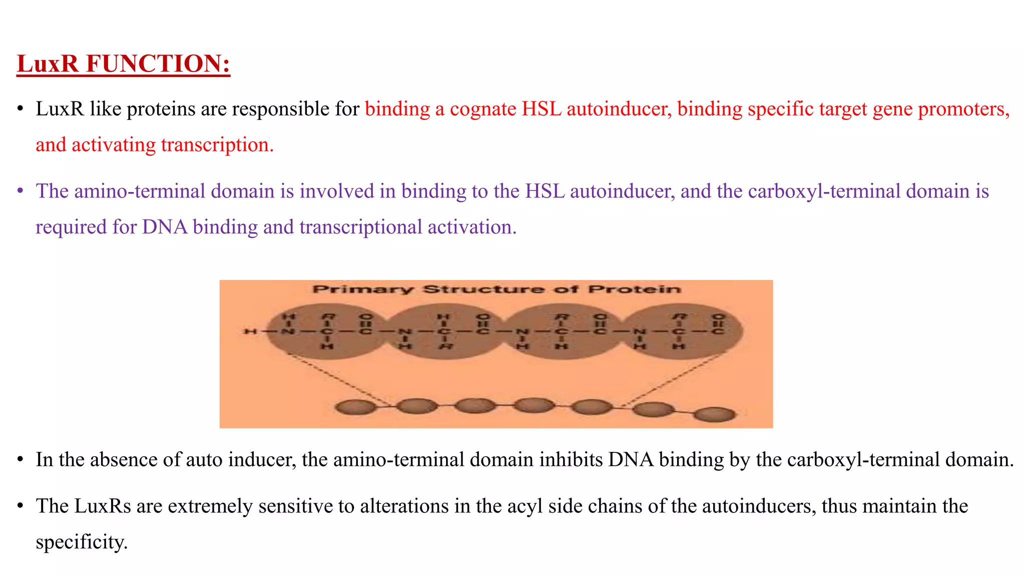 Quorum sensing in plant pathogenic bacteria. Maruthi.pptx