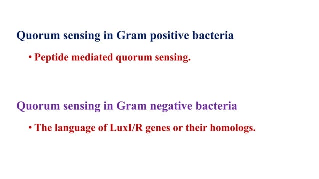 Quorum sensing in plant pathogenic bacteria. Maruthi.pptx