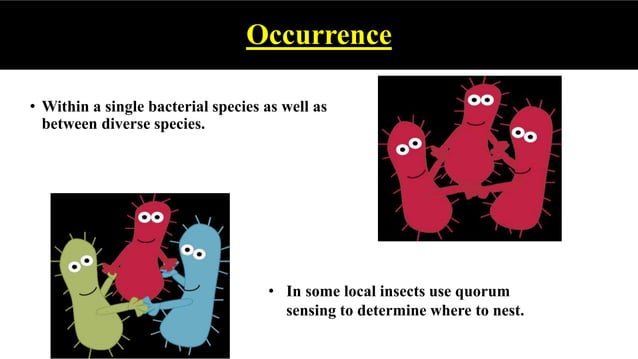 Quorum sensing in plant pathogenic bacteria. Maruthi.pptx